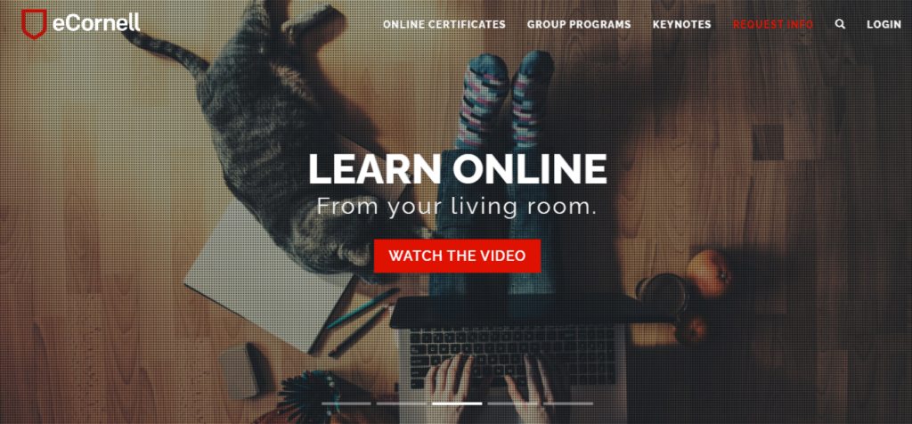 Best HR Generalist Certifications 2024: Reviews and Pricing